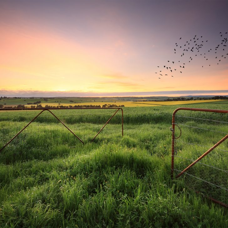 Elders Real Estate South Australia | Your Local Real Estate Experts